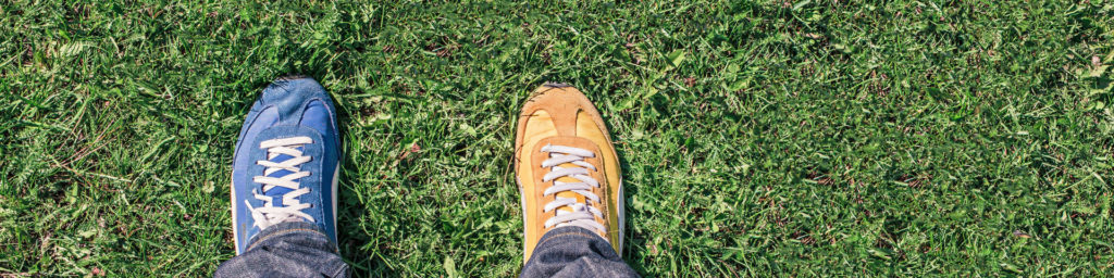 Bootstrapping Model Data – Visualization | Sean Clauson