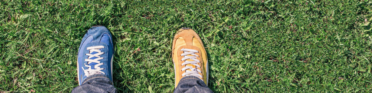 Bootstrapping Model Data – Visualization | Sean Clauson